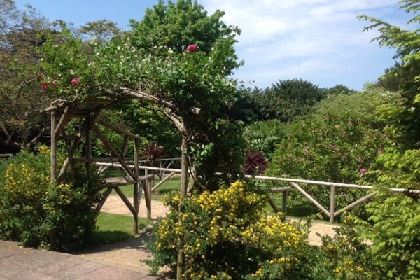 Erith House care home, Lower Erith Road, Torquay, Devon TQ1 2PX | 37 ...