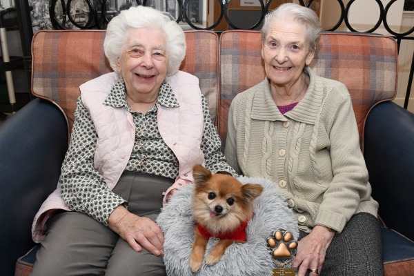 Colne View care home, Dame Mary Walk, Colchester Road, Halstead, Essex ...