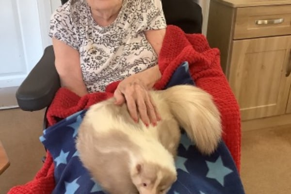 Mill View care home, Sunnyside Close, East Grinstead, West Sussex RH19 ...