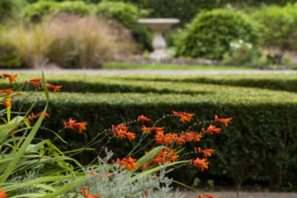 Fordingbridge Care Home, Station Road, Fordingbridge, Hampshire SP6 1JW ...