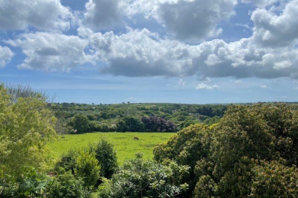 Roscarrack House care home, Bickland Water Road, Falmouth, Cornwall ...