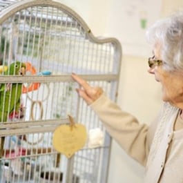 Pelsall Hall care home, Paradise Lane, Pelsall, Walsall, West Midlands ...