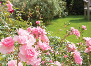 Kimbolton Lodge care home, 1 Kimbolton Road, Bedford, Bedfordshire MK40 2NT