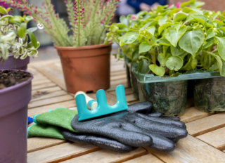 Shoemaker Place care home, The Fillybrooks, Stone, Staffordshire ST15 ...